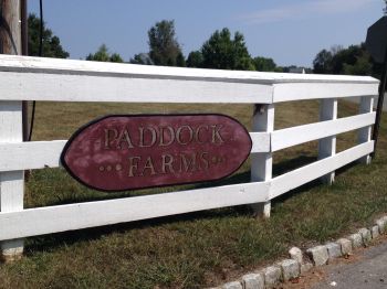 Paddock Farms - Pine Push, NY