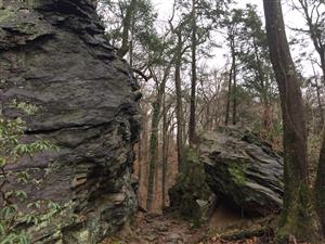 1) Forbidden Drive/Valley Green at Wissahickon Creek
